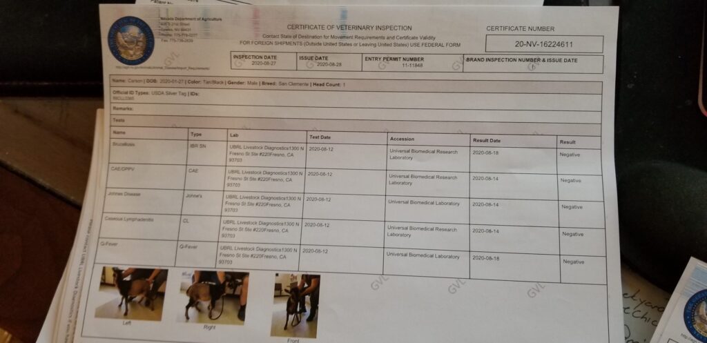 What is a Certificate of Veterinary Inspection? - Goat Journal